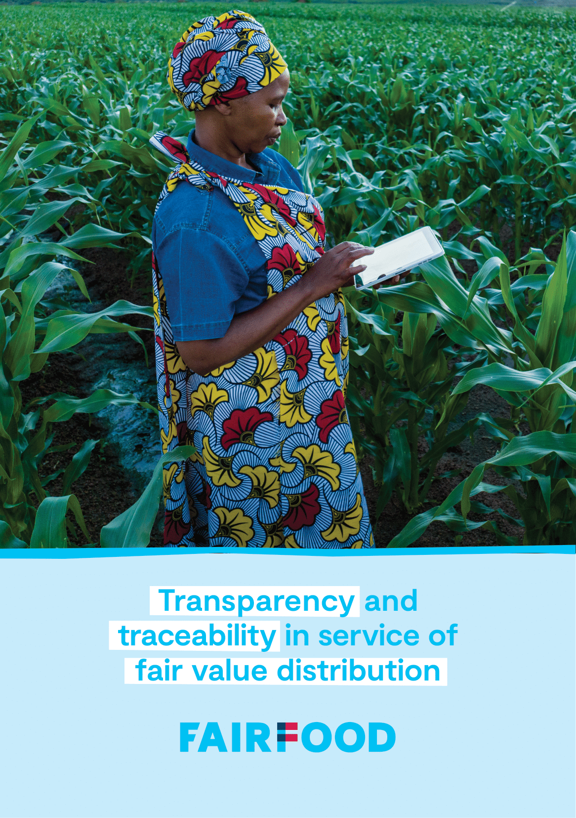 Fair value distribution